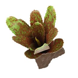 LUCKY REPTILE Bromelie Neoregelia gr&uuml;n 20 cm