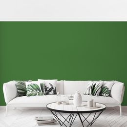 Bilderwelten Fototapete Vliestapete Unifarben Wandtapete einzigartig - Colour Dark Green - Deko Wohnzimmer Schlafzimmer