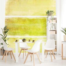 Bilderwelten Mustertapete Colour Harmony Yellow