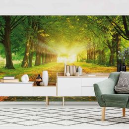 Bilderwelten Waldtapete von - Fototapete Waldweg 3D - Autumn Avenue - Herbst Wald Tapete, Allee im Wald - Wandtapete Wohnzimmer - auch selbstklebend
