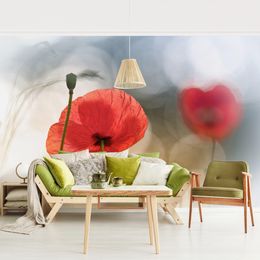Bilderwelten Tapete - Fototapete Mohnblumen am Morgen - Blumentapete Wandtapete Schlafzimmer Wohnzimmer modern - auch selbstklebend