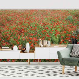 Bilderwelten Fototapete Blumen Motiv Wandtapete rot - Mohnblumenfeld - Blumenwiese Wohnzimmer Schlafzimmer