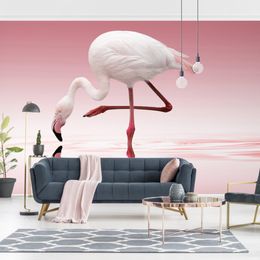 Bilderwelten Fototapete Tiere Motiv Wandtapete rosa - Flamingo Dance - V&ouml;gel Wohnzimmer Schlafzimmer