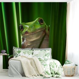 Bilderwelten Tapete - Fototapete Fr&ouml;hlicher Frosch - Wandtapete Schlafzimmer Wohnzimmer modern - auch kleisterfrei