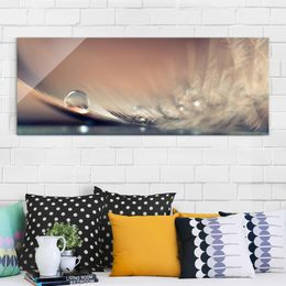 Bilderwelten Glasbild - Story of a Waterdrop Wassertropfen Makroaufnahme Feder Panorama Wandbilder aus Glas mit Aufh&auml;ngung Wohnzimmer,Schlafzimmer