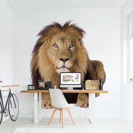 Bilderwelten Tapete - Fototapete K&ouml;nig L&ouml;we II - Wandtapete Schlafzimmer Wohnzimmer modern - auch kleisterfrei