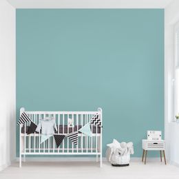 Bilderwelten Fototapete Vliestapete Unifarben Wandtapete einzigartig - Pastellt&uuml;rkis - Deko Wohnzimmer Schlafzimmer