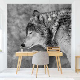 Bilderwelten Fototapete Tiere Motiv Wandtapete schwarz weiss - Winter Wolf - Deko Wohnzimmer Schlafzimmer