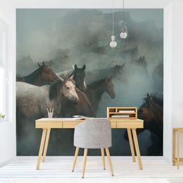Bilderwelten Fototapete Tiere Motiv Wandtapete einzigartig - Wilde Pferde - Pferde Wohnzimmer Schlafzimmer