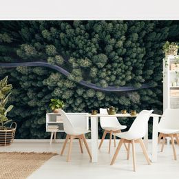 Bilderwelten Fototapete - Wald Luftbild - Waldstra&szlig;e von Oben - Natur Bildtapete Bildtapete Schlafzimmer Wohnzimmer - auch selbstklebend