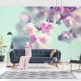 Bilderwelten Bl&uuml;tentapete Fototapete Farbenfrohe Kirschbl&uuml;ten selbstklebende Tapete Blumentapete Bl&uuml;ten Blumen Wandtapeten Wohnzimmer,Schlafzimmer Vliestapete