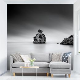 Bilderwelten Fototapete Felseninsel im Meer Schwarz-Wei&szlig;