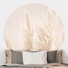 Bilderwelten Runde Gr&auml;ser Tapete selbstklebend Pampasgras Natur wei&szlig; beige creme Schlafzimmer,Wohnzimmer, Fototapete Wandaufkleber &uuml;ber hinterm Bett modern