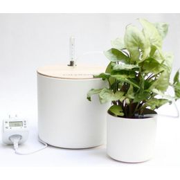 Tchibo - Automatische Blumentopfbew&auml;sserung - wei&szlig;