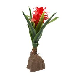 LUCKY REPTILE Bromelie Pflanze gro&szlig; rot 30 cm