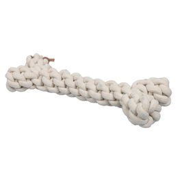 D&D DundD Home Dente Tau Knochen