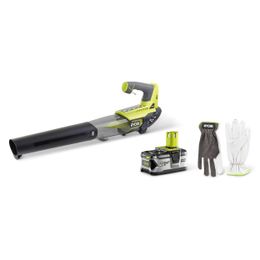 Ryobi 18 V Akku-Laubgebl&auml;se-Set - gr&uuml;n