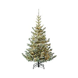 Tchibo - Evergreen LED-Tanne &raquo;Nobilis&laquo; - gr&uuml;n