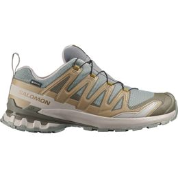 Salomon XA Pro 3D V9 GTX Schuhe Herren braun 49.3