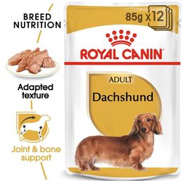 Royal Canin Dachshund Adult Hundefutter nass f&uuml;r Dackel 12x85g