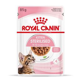 Royal Canin KITTEN STERILISED in So&szlig;e Katzen-Nassfutter f&uuml;r kastrierte K&auml;tzchen 12x85g