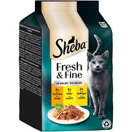 Sheba Fresh & Fine Gelee Truthahn, Huhn & Gefl&uuml;gel Katzen-Nassfutter ohne k&uuml;nstliche Farbstoffe 36x50 g
