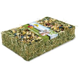 JR FARM Kleintierfutter Heu-Schale mit Bl&uuml;ten 4x100g