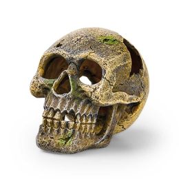 EDEN Totenkopf