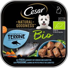 CESAR Natural Goodness Bio mit Fisch, Erbsen & Karotten Hunde-Nassfutter getreidefrei 16x100g
