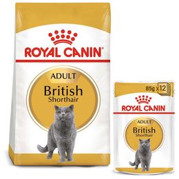 Royal Canin Adult British Shorthair Katzen-Trockenfutter 2kg + Nassfutter in So&szlig;e 12x85g