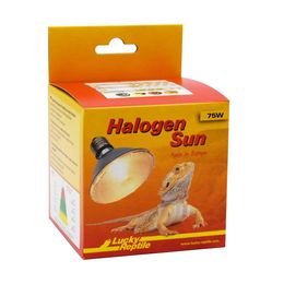 LUCKY REPTILE Halogen Sun E27 Leuchtmittel 75W