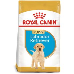 Royal Canin Labrador Retriever Puppy Welpenfutter Hunde-Trockenfutter unterst&uuml;tzt die Abwehrkr&auml;fte 2x12kg
