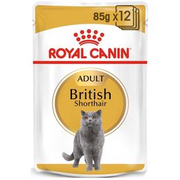 Royal Canin British Shorthair Adult Katzen-Nassfutter f&uuml;r Britisch Kurzhaar 12x85g