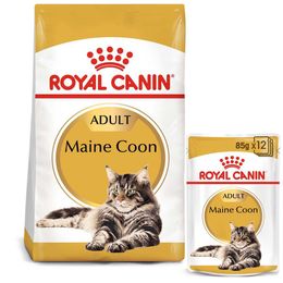 Royal Canin ADULT Maine Coon 2kg + Nassfutter in So&szlig;e 12x85g