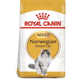 Royal Canin Norwegian Forest Cat Adult Katzen-Trockenfutter f&uuml;r Norwegische Waldkatzen 2x10kg