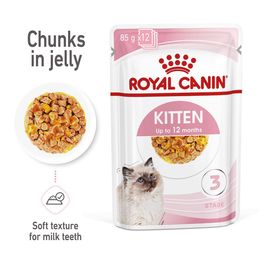 Royal Canin KITTEN Nassfutter in Gelee f&uuml;r K&auml;tzchen 48x85g