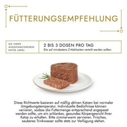 Gourmet Gold Feine Pastete mit Rind Katzen-Nassfutter Alleinfuttermittel 48x85g