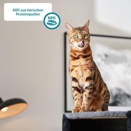 ZooRoyal Rind + Multifleischcocktail Katzen-Nassfutter getreidefrei 12x400g