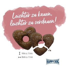 Happy Dog Supreme Sensible Puppy Lachs & Kartoffel Hunde-Trockenfutter getreidefrei 2x10kg