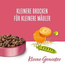 PURINA Beneful Kleine Genie&szlig;er, Rind und Gem&uuml;se 4x2,8 kg