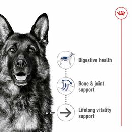 Royal Canin MAXI Ageing 8+ Hunde-Trockenfutter f&uuml;r &auml;ltere gro&szlig;e Hunde 2x15kg