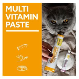 GimCat MultiVitamin Paste 200g