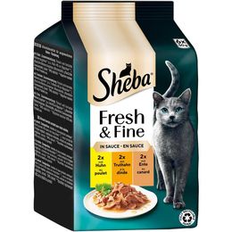 Sheba Fresh & Fine Sauce mit Huhn, Truthahn & Ente Katzen-Nassfutter ohne k&uuml;nstliche Farb- & Konservierungsstoffe 36x50 g