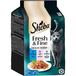 Sheba Fresh & Fine Gelee Thunfisch, Lachs & Wei&szlig;fisch Katzen-Nassfutter ohne k&uuml;nstliche Farbstoffe 6x50 g