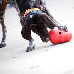 Kong Hundespielzeug Wobbler rot