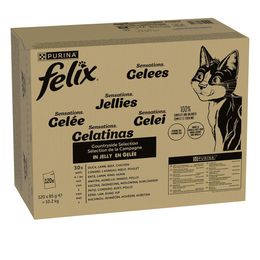 FELIX Sensations Geschmacksvielfalt vom Land Katzen-Nassfutter ohne k&uuml;nstliche Zusatzstoffe 120x85 g