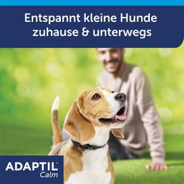 Adaptil Royal Canin FHN Kitten Sterilised Gravy Katze Katzen-Nassfutter sterilisierte K&auml;tzchen 48x85g