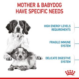 Royal Canin Medium Starter Mother & Babydog Hunde-Trockenfutter f&uuml;r tragende H&uuml;ndinnen und Welpen 15kg