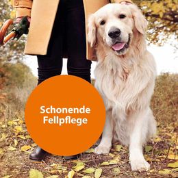 Ardap Floh- und Staubkamm gro&szlig;