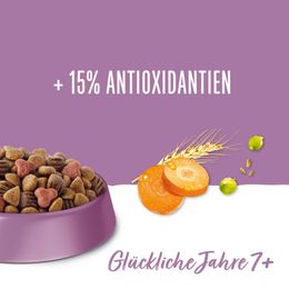 Beneful Gl&uuml;ckliche Jahre 7+ Huhn & Gem&uuml;se Hunde-Trockenfutter Senior Hundenahrung 2x12kg